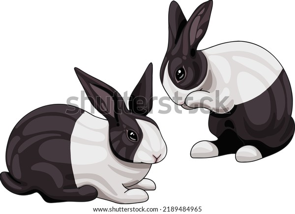 Set Cartoon Drawn Animals Rabbit Breed Stock Vector (Royalty Free ...