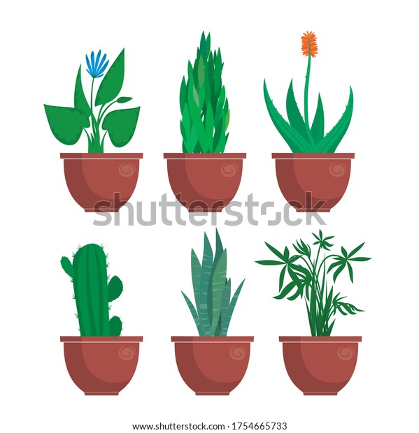 Set Cartoon Indoor Plants Vector Illustration Stock Vector (Royalty ...