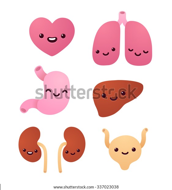 Set Cartoon Internal Organs Cute Smiling Stock Vector (Royalty Free ...