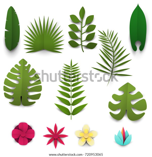 Set Cartoon Tropical Leafs Flowers Paper Stock Vector (Royalty Free ...