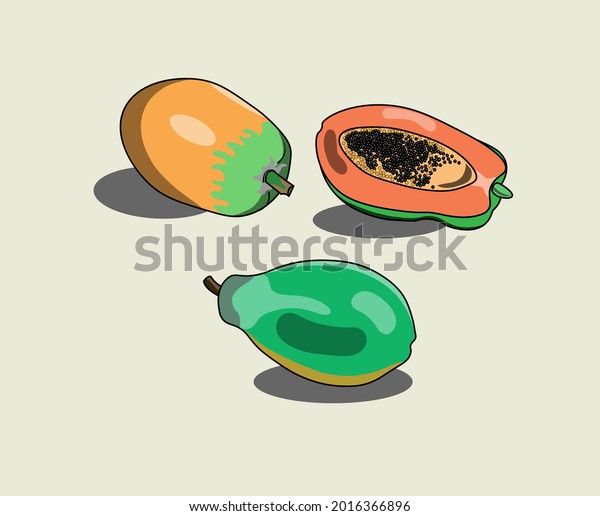 Set Cartoon Type Papaya Illustration Stock Vector (Royalty Free ...