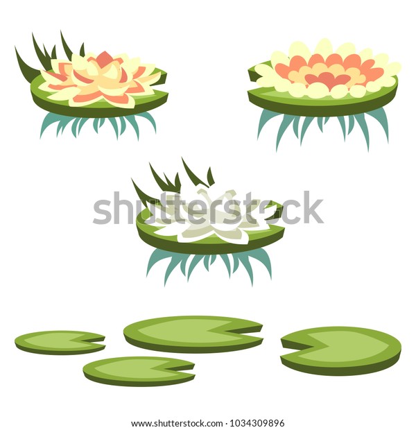 Set Cartoon Vector Water Lilies Different Stock Vector (Royalty Free ...