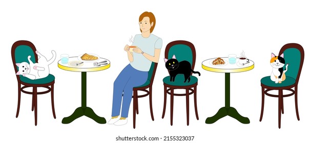 Set Cat Cafe White Background Foods Stock Vector (Royalty Free ...