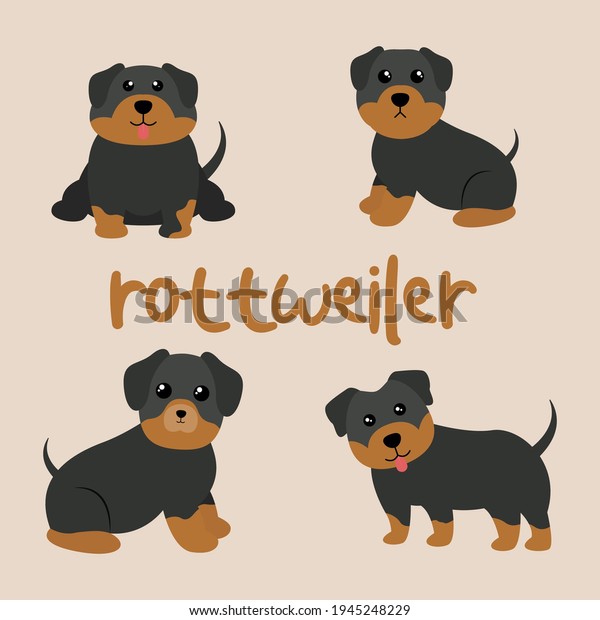 Set Character Animal Various Poses Cute Stock Vector (Royalty Free ...