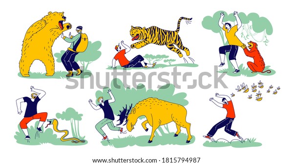 Set Characters Attacked Wild Animals Bear Stock Vector (Royalty Free ...