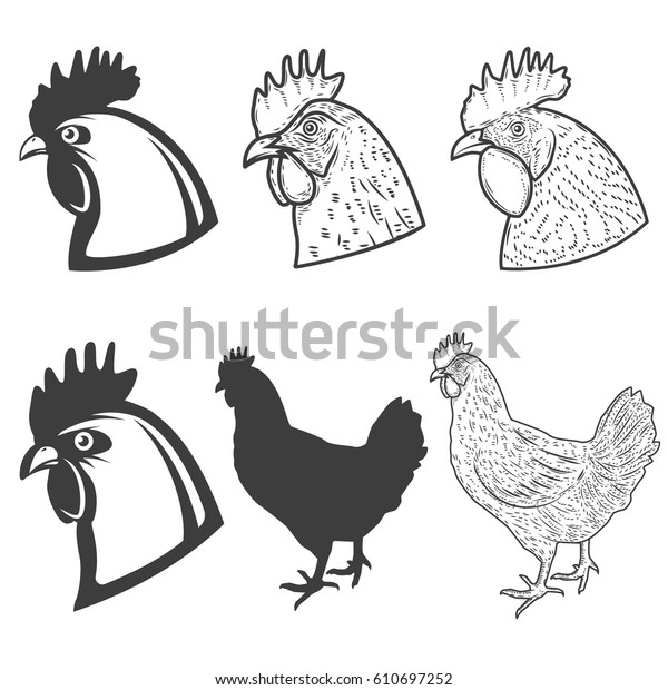 Set Chicken Heads Icons Isolated On Stock Vector (Royalty Free) 610697252