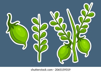 959 Chickpea cartoon Images, Stock Photos & Vectors | Shutterstock