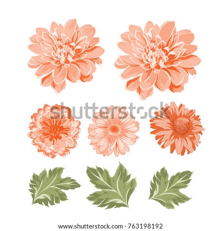 Mum Flower Clipart | Free download on ClipArtMag