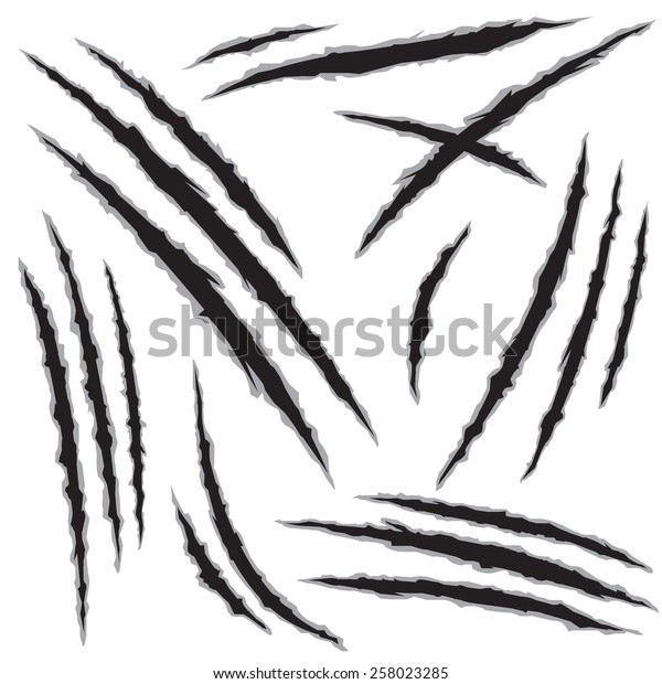 Set Claw Scratches Isolated On White Stock Vector (Royalty Free ...