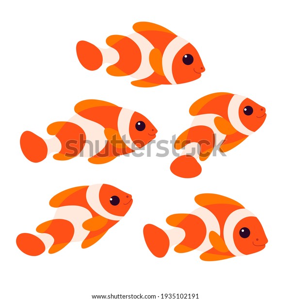 Set Clown Fish Vector Illustration Colorful Stock Vector (Royalty Free ...
