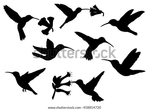 Set Colibri Silhouettes Vector Image Stock Vector (Royalty Free ...