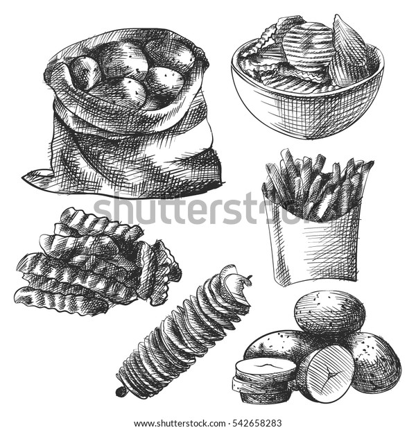 Set Collection Hand Drawn Potatoes On Stock Vector (Royalty Free ...