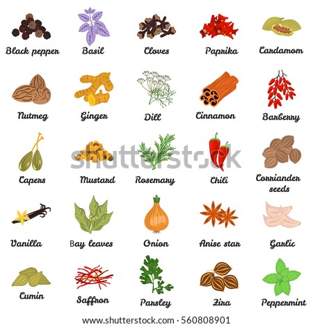 Set Color Flat Spice Icons Set Stock Vector (Royalty Free) 560808901 ...