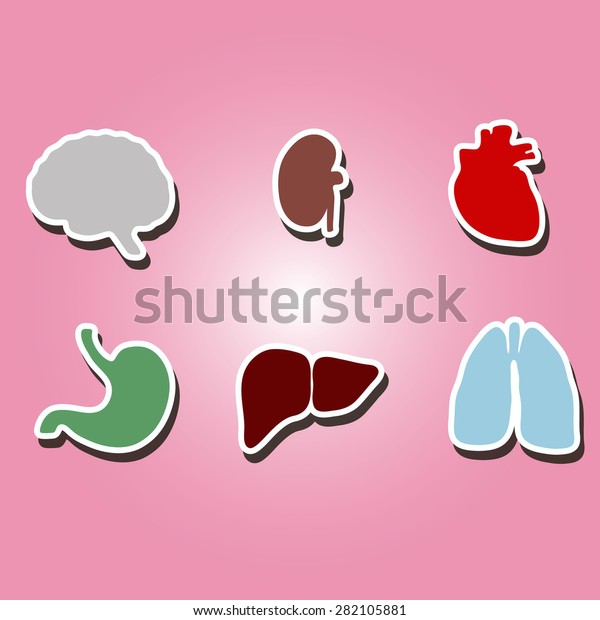 Set Color Icons Organs Human Body: เวกเตอร์สต็อก (ปลอดค่าลิขสิทธิ์ ...