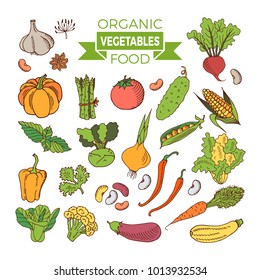 Set Colored Vegetables Drawing By Hand Stock Vector (Royalty Free ...