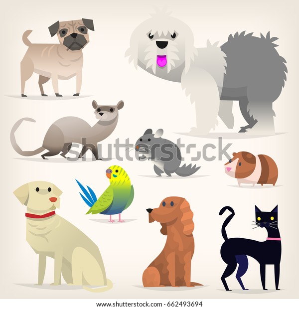 Set Colorful Pets Different Species Kinds Stock Vector (Royalty Free ...