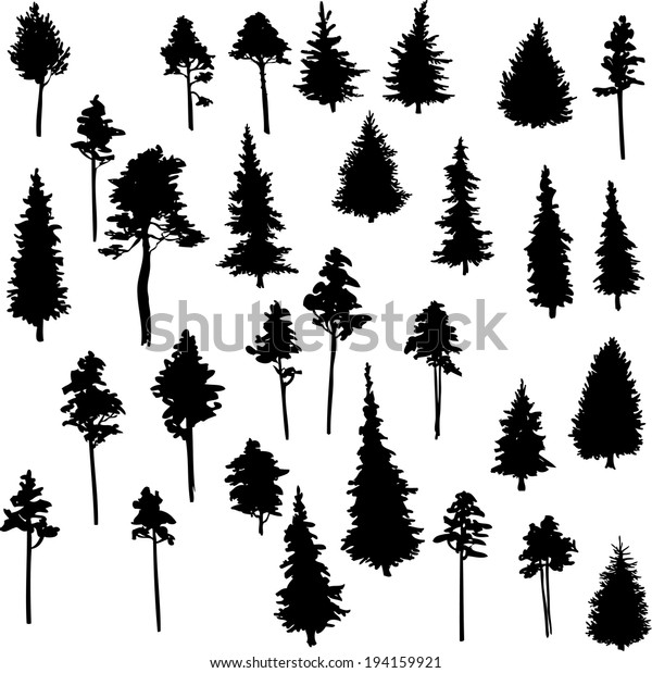 980 Hemlock tree silhouette 图片、库存照片和矢量图 | Shutterstock