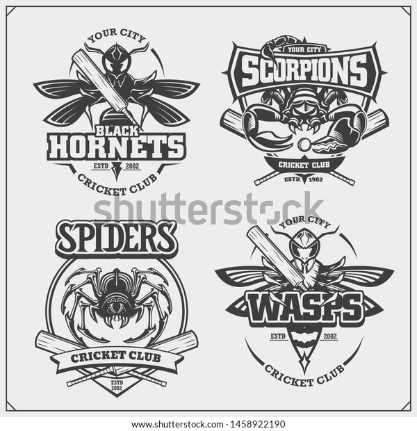 Set Cricket Badges Labels Design Elements Stock Vector (Royalty Free ...