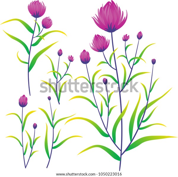 Set Crimson Wild Flower Branches On Stock Vector (Royalty Free ...