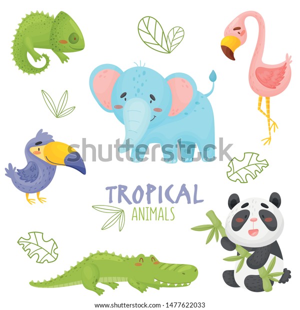 Set Cute Cartoon Tropical Animals Jungle Stock Vector (Royalty Free ...