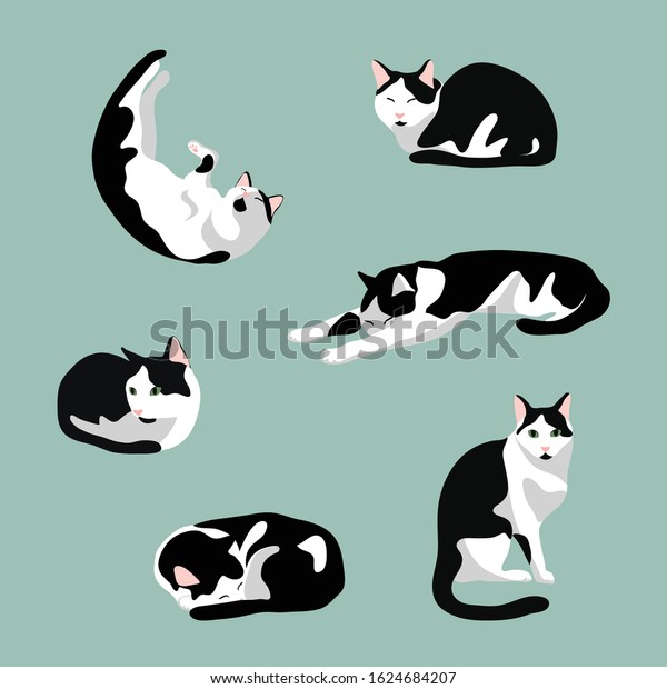 Set Cute Cat Various Poses Sleeping Stock Vector (Royalty Free ...