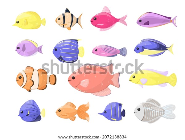 Set Cute Colored Fish On White Stock Vector (Royalty Free) 2072138834 ...