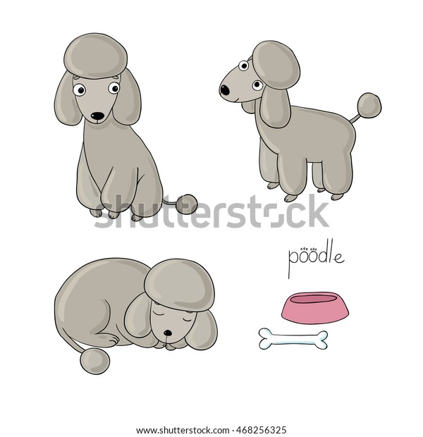 Set Cute Poodle Illustration Different Poses 库存矢量图（免版税）468256325 ...