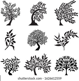 Asymmetrical Trees Set Stock Vector (Royalty Free) 260804921