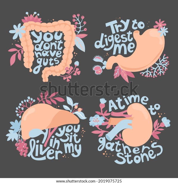 Set Decorative Vector Illustrations Guts Stomach Stock Vector (Royalty ...