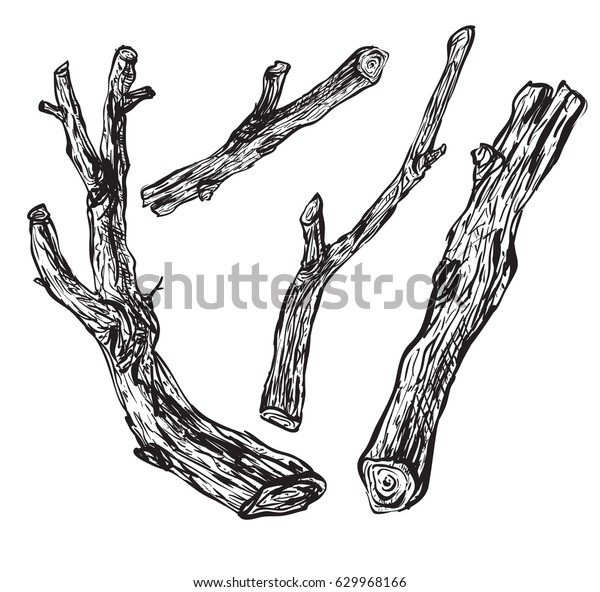 Set Detailed Precise Ink Drawing Wood Stock Vector (Royalty Free ...