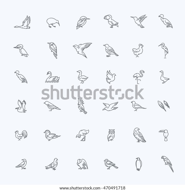 Set Different Birds Vector Line Icons Stock Vector (Royalty Free) 470491718