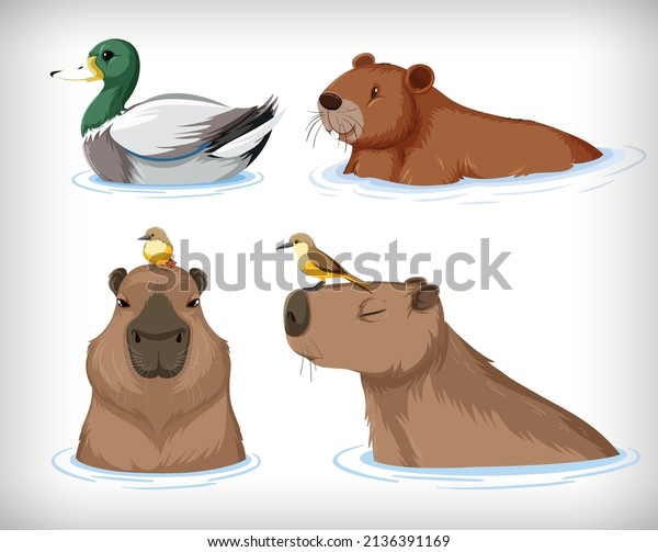 Set Different Capybara Cartoon Style Illustration: เวกเตอร์สต็อก (ปลอด ...