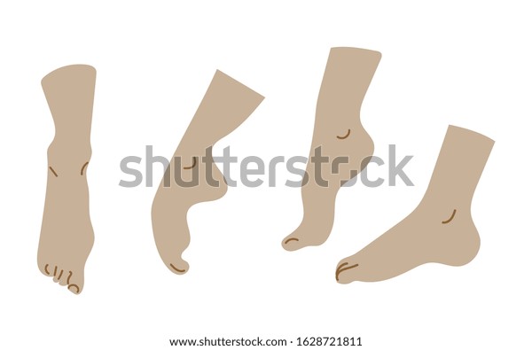 Set Different Feet Vector Illustration All Stock Vector (Royalty Free ...