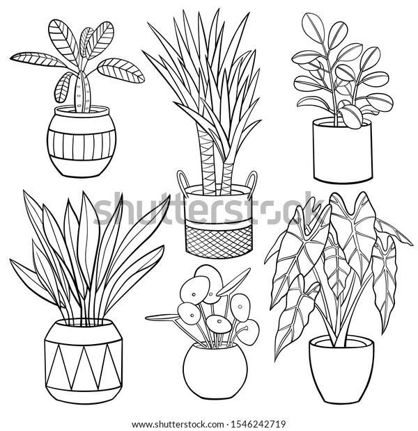 Set Different Hand Drawn Houseplants Planters Stock Vector (Royalty ...