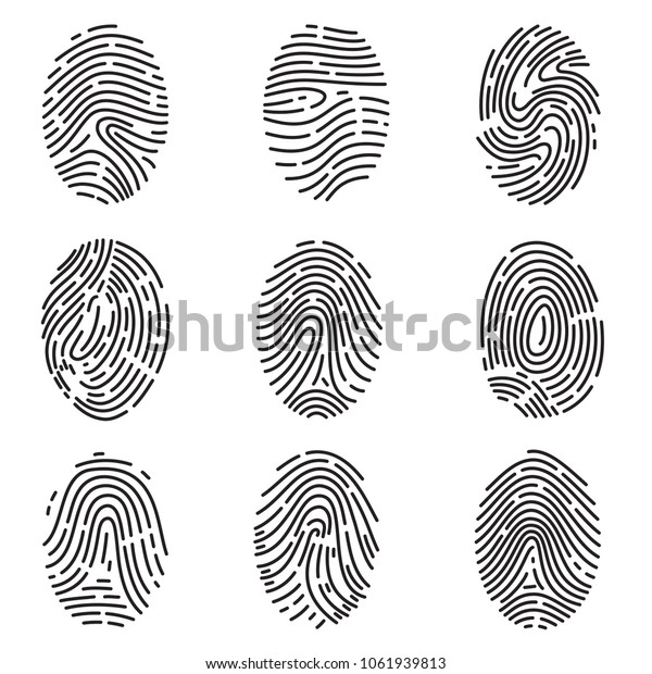 Set Different Vector Outline Fingerprint Isolated Stock Vector (Royalty ...
