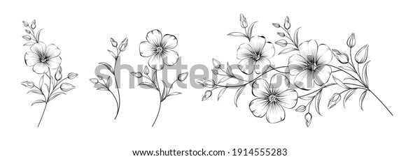 315,510 Flower Contour Stock Vectors, Images & Vector Art | Shutterstock