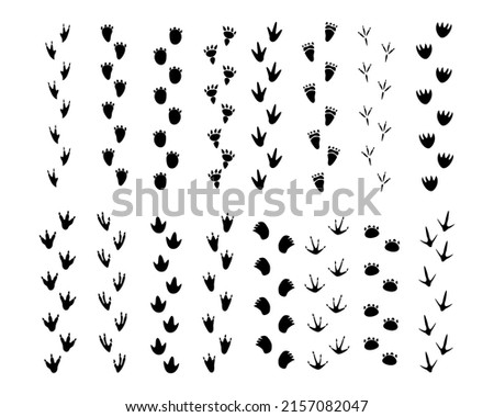 Dinosaur Footprints Clipart | Free download on ClipArtMag