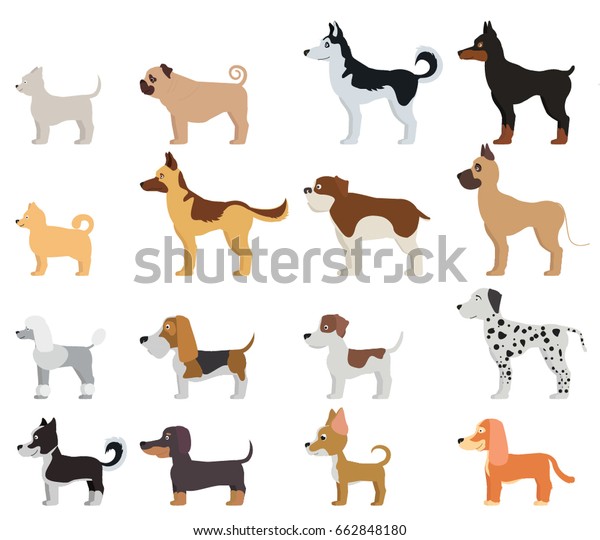 set Dogs of different breeds. Models are divided into separate segments ...