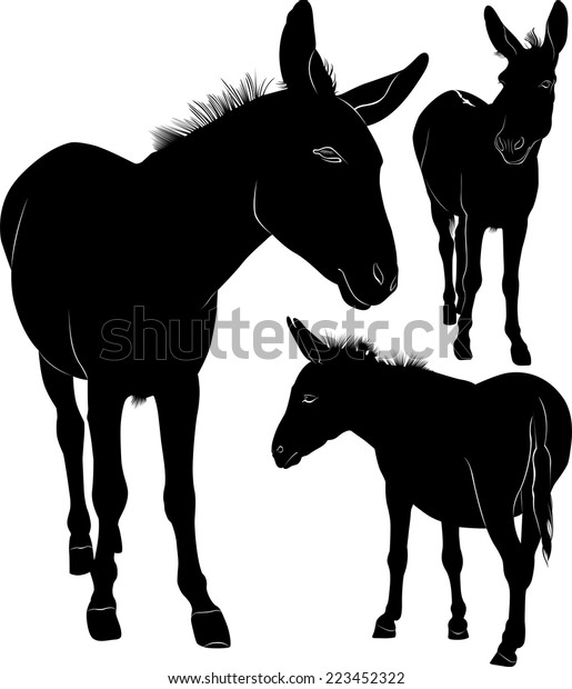 Set Donkeys Silhouettes Isolated On White Stock Vector (Royalty Free ...