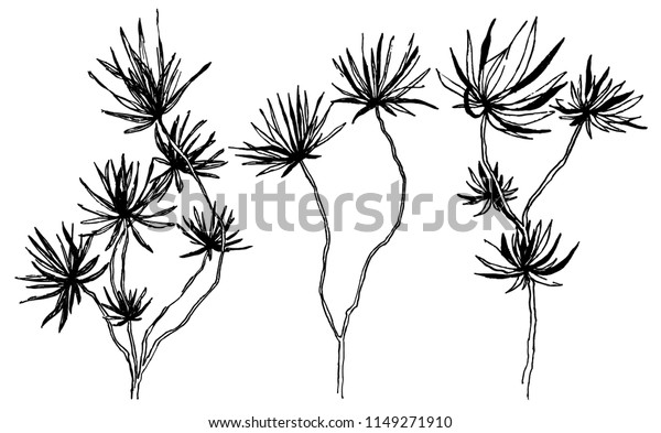 Set Dragon Trees Illustration: vetor stock (livre de direitos ...
