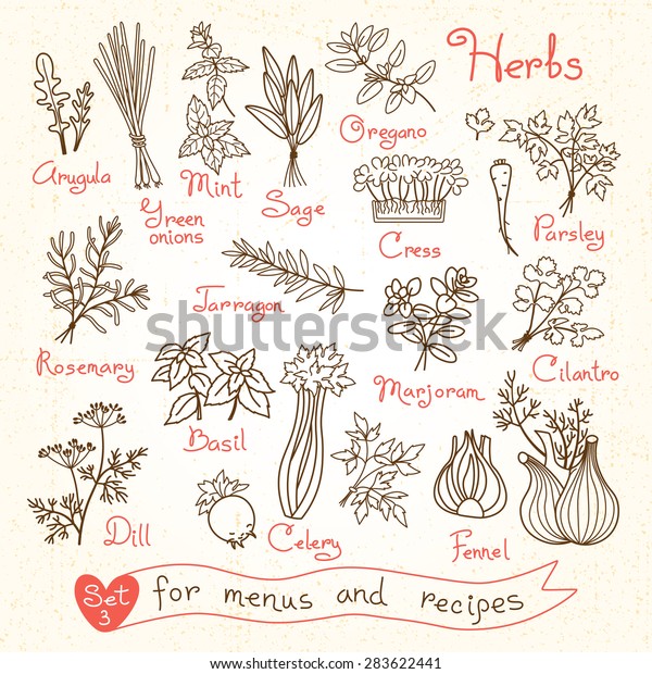 Set Drawings Herbs Design Menus Recipes 库存矢量图（免版税）283622441