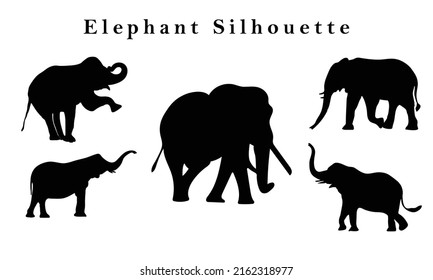 8,003 Elephant Shadow Images, Stock Photos & Vectors | Shutterstock