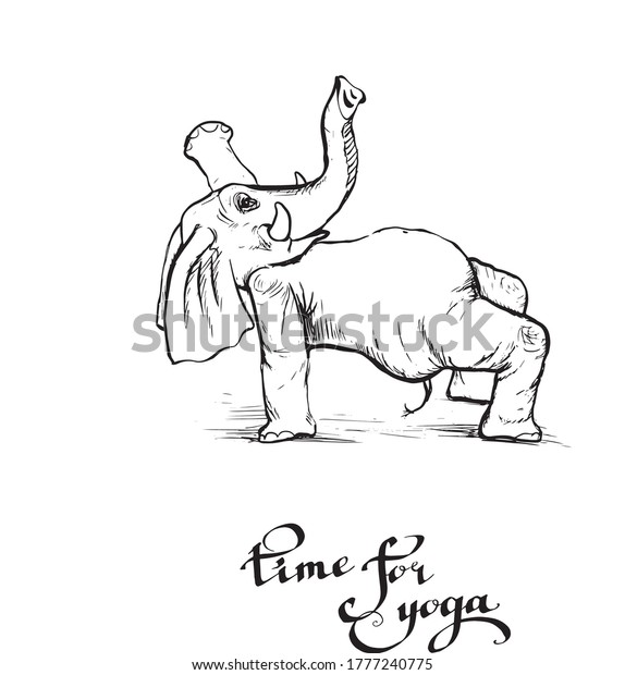 Set Elephants Doing Yoga Various Poses Stock Vector (Royalty Free ...