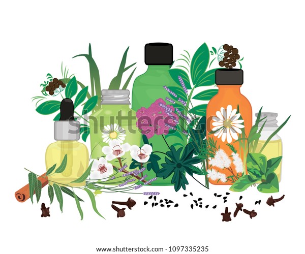 Set Essential Oils Vector Illustration Aromatherapy Stock Vector ...