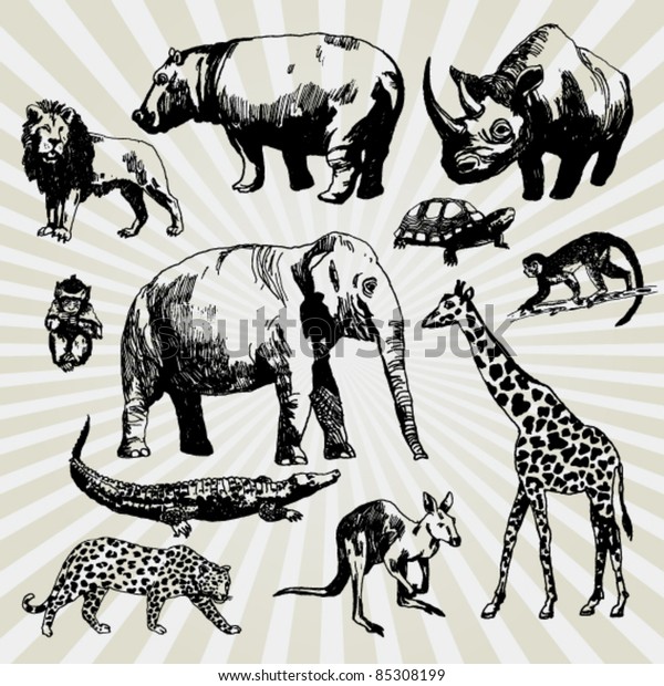 Set Exotic Animals Hand Drawn Stock Vector (Royalty Free) 85308199 ...