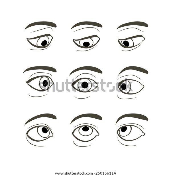 Set Eyes Positions Front View Right Stock Vector (Royalty Free) 250156114