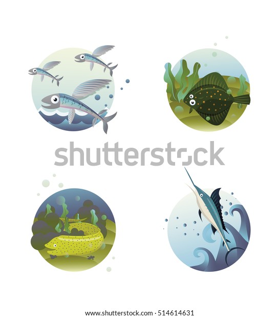Set Fish Illustrations Flying Fish Flounder Stock Vector (Royalty Free ...