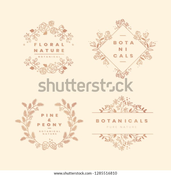 Set of floral botanical frame vectors