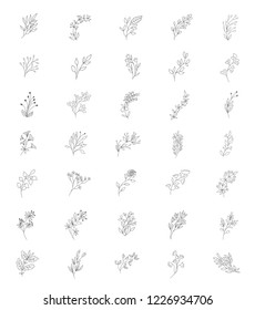 6,139 Plant Fine Line Images, Stock Photos & Vectors | Shutterstock