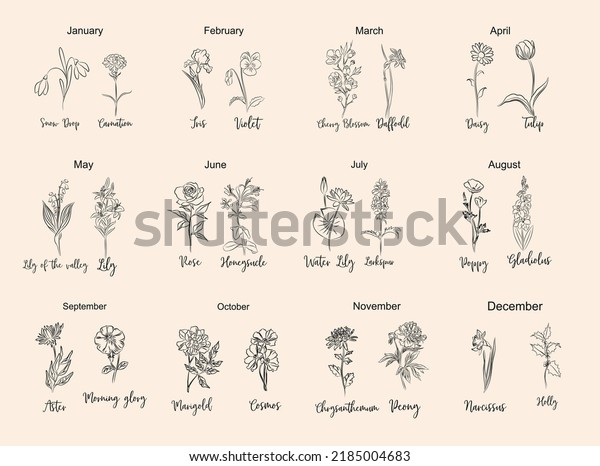 Set Flower Line Art Vector Illustrations Stock Vector (Royalty Free ...